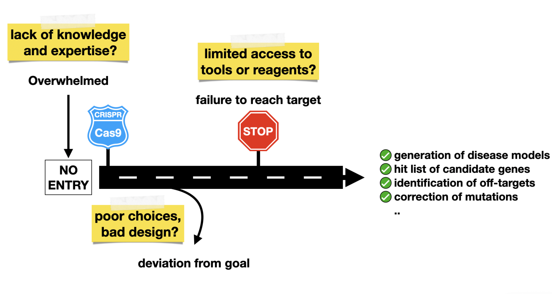 The Lab – Genome Engineering and Measurement Lab | ETH Zurich